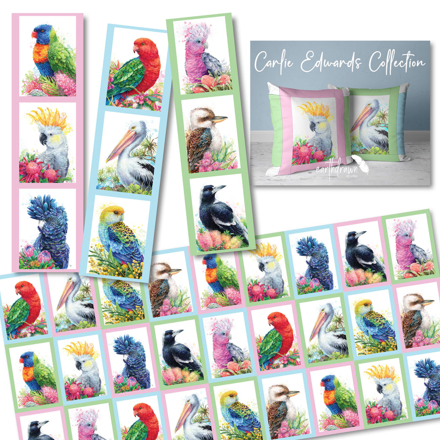 New Arrivals – The Quilters Angel