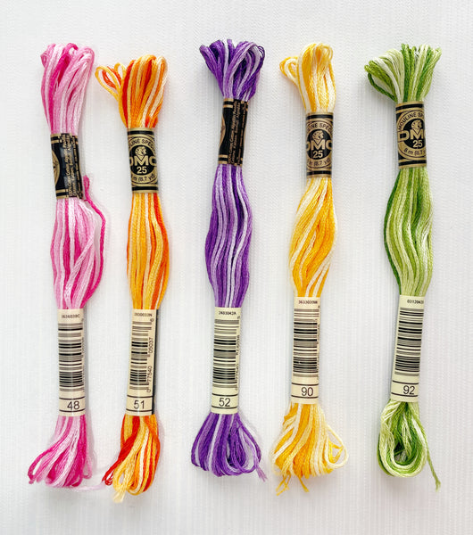 DMC Variegated Threads - 6 Standed – The Quilters Angel